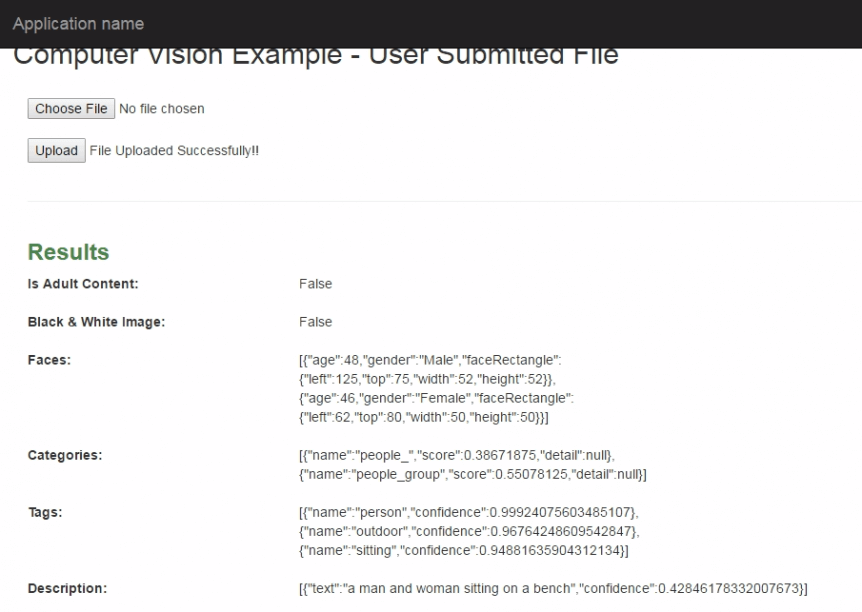 Quick Introduction to the Computer Vision API
